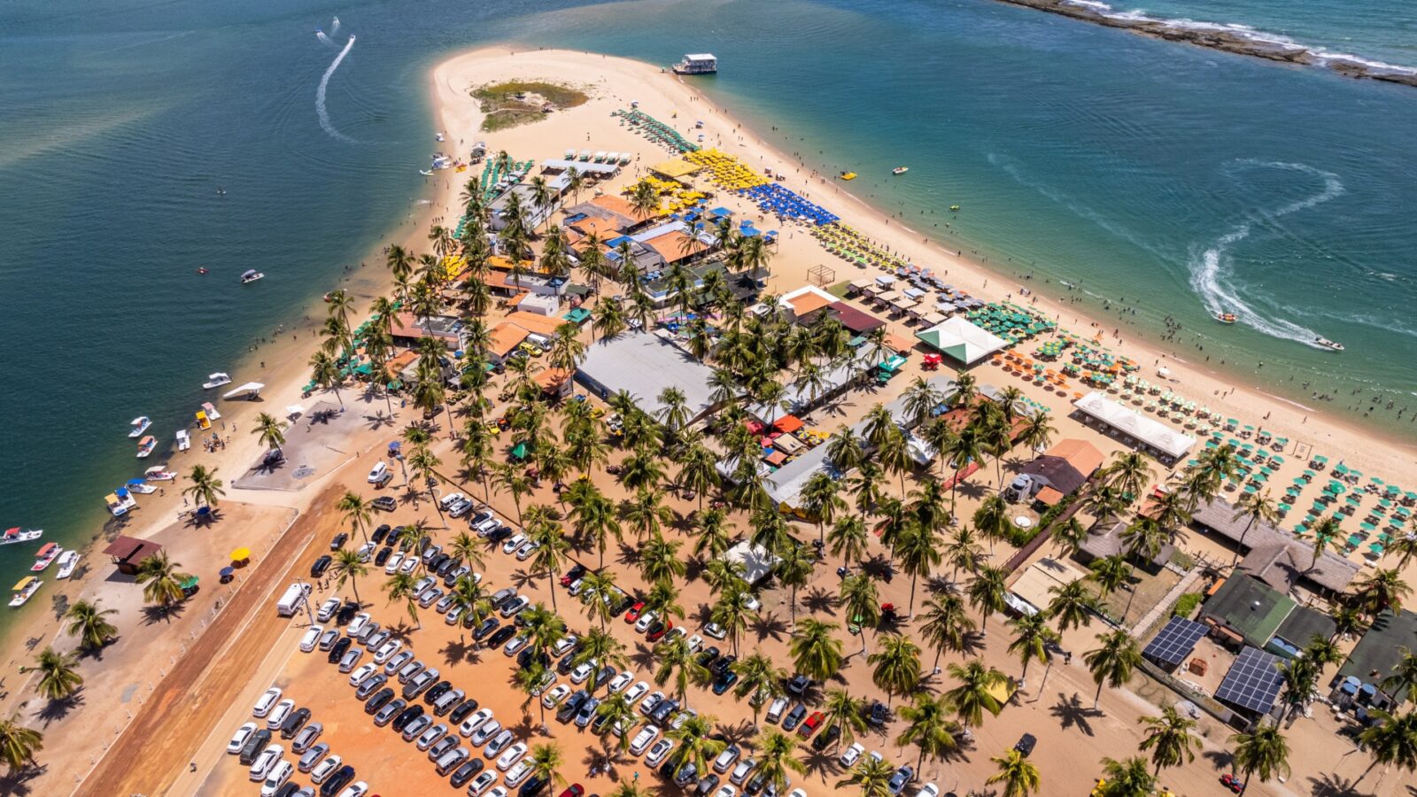 Praia do Gunga: como chegar, o que fazer e dicas para aproveitar ...