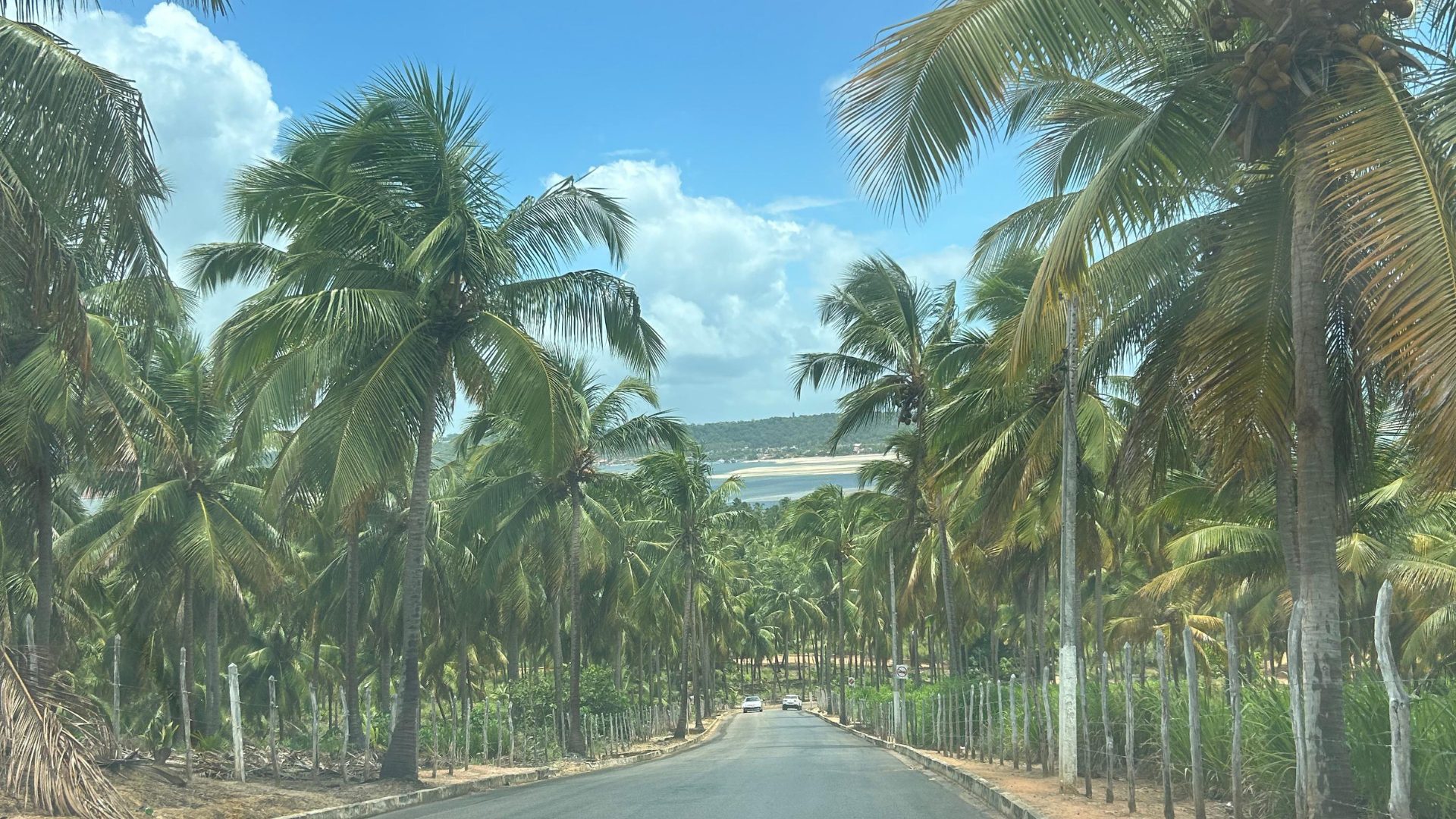 Praia do Gunga: como chegar, o que fazer e dicas para aproveitar ...